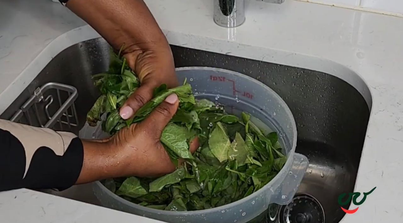 Delicious Scent Leaf Sauce Recipe | Quick & Spicy Nigerian Delight ...
